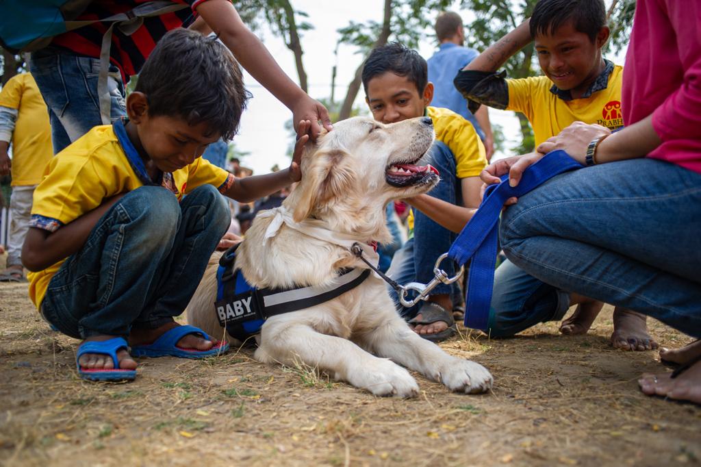 Qi To Happiness Foundation